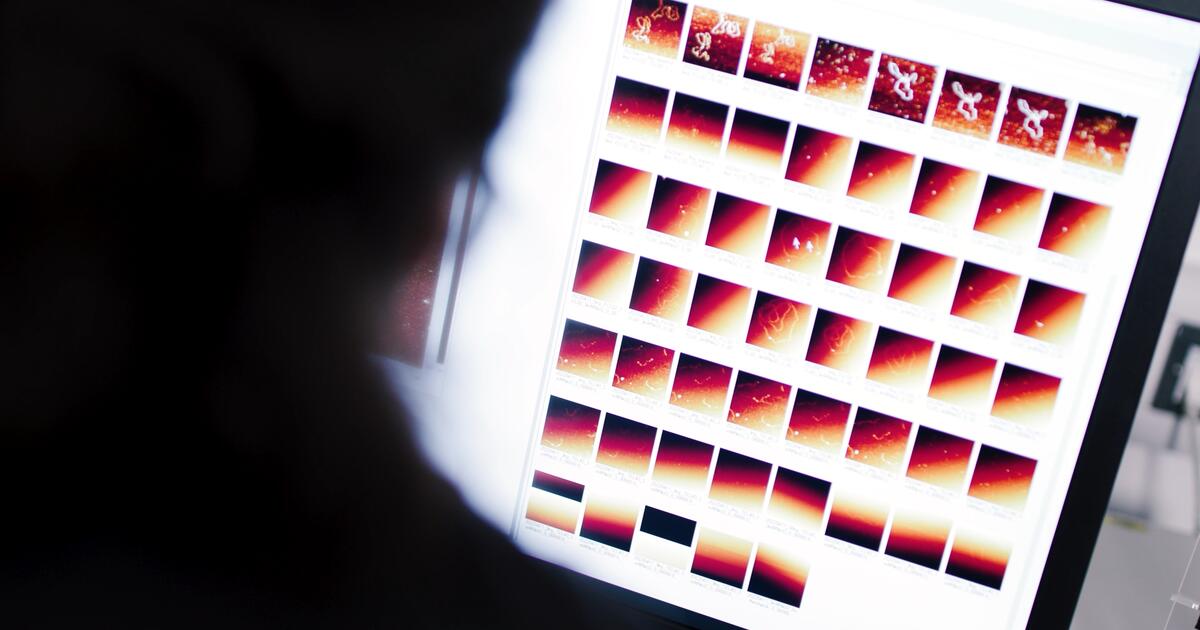 Understanding DNA using Atomic Force Microscopy | The University of ...